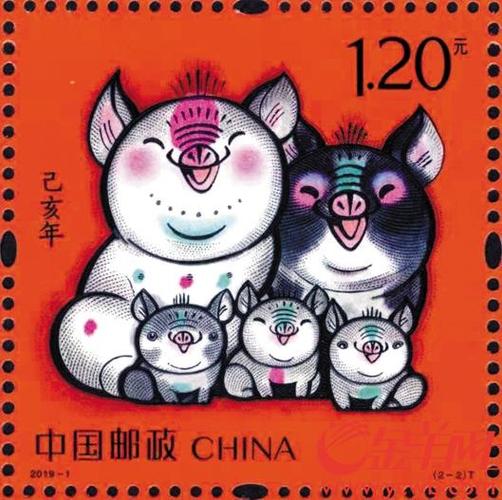 旺福小猪