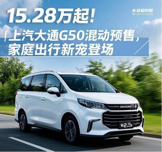 上海大通g50多少钱一辆截图
