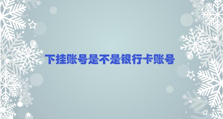 下挂账号是卡号吗图标