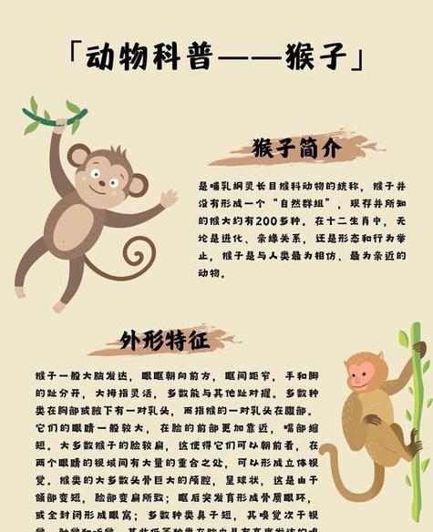 猴子的习性图标
