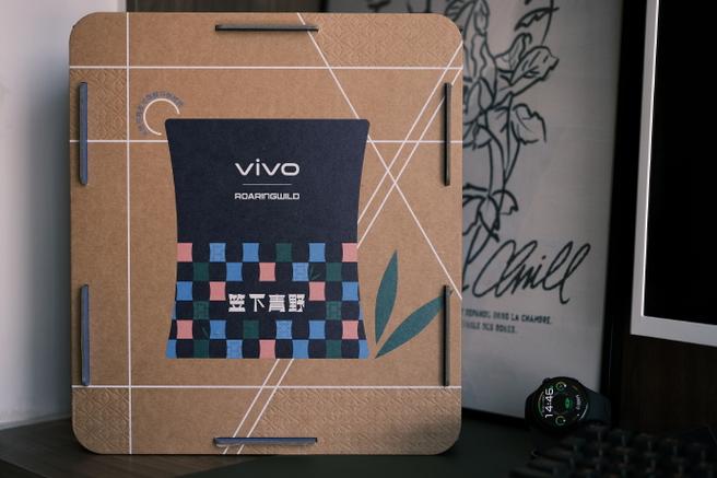 主题盒vivo