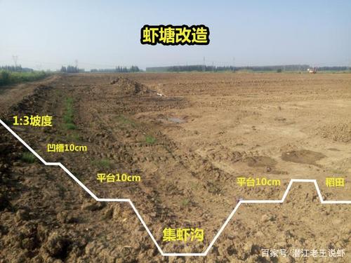 小龙虾养殖池塘怎么建图标