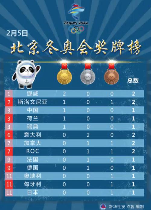 冬奥会金牌榜第一的国家图标