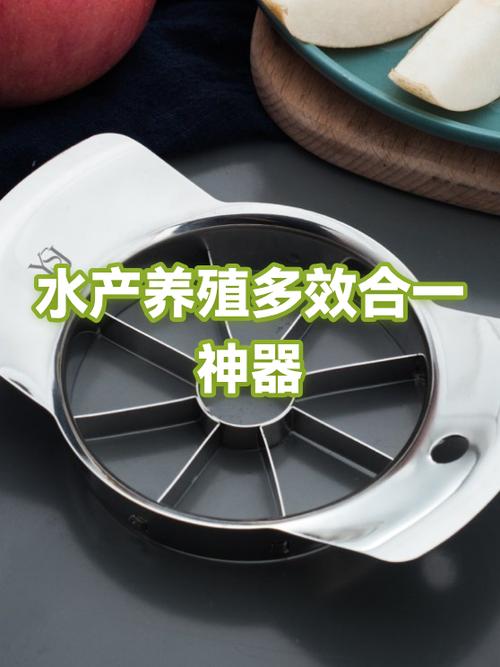 鱼塘宣传广告图标
