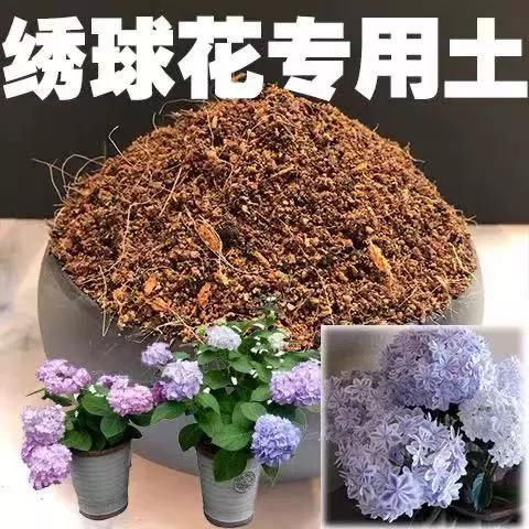 栽茶花用什么土最合适图标