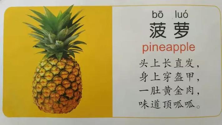菠萝儿歌视频截图