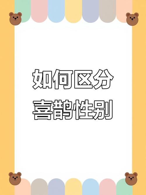 喜鹊儿良好是多少分
