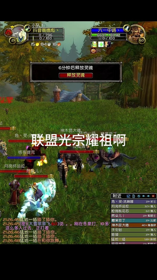 魔兽世界60怀旧公益服截图