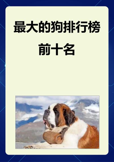 最好的狗前十名图标