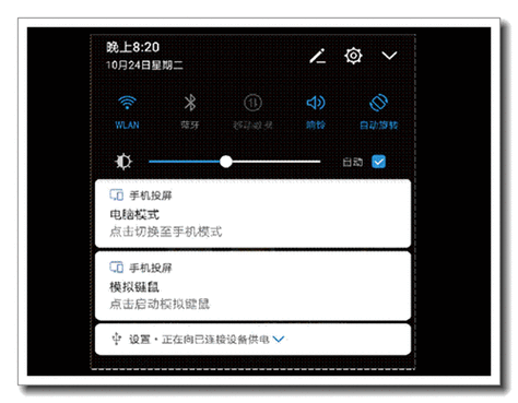 华为p20pro图标