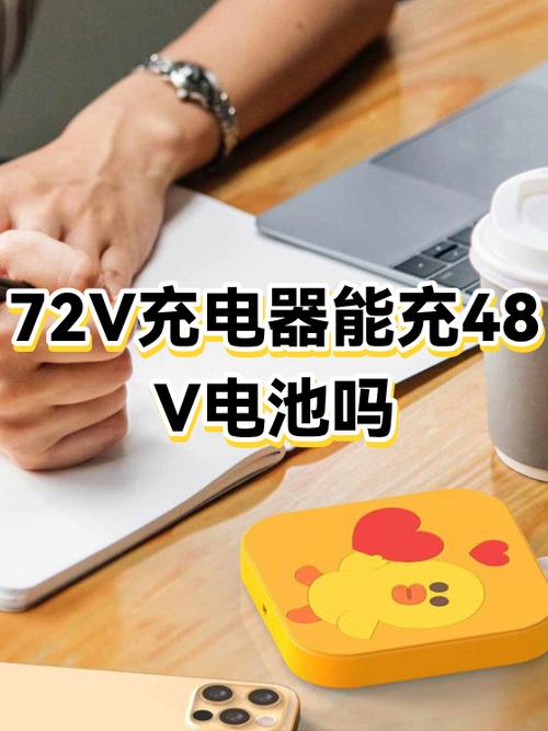 自己的充电器给别人充有影响吗截图