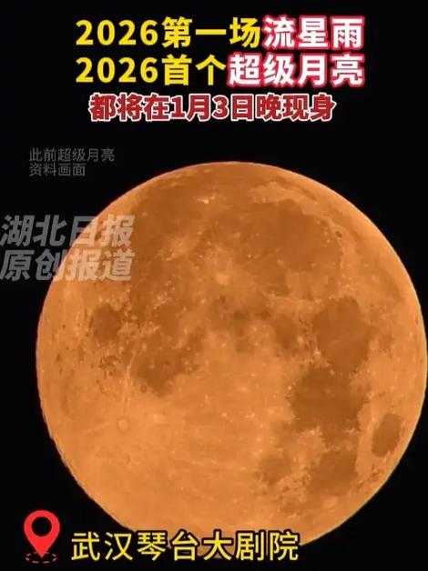 2026月亮TV直播下载