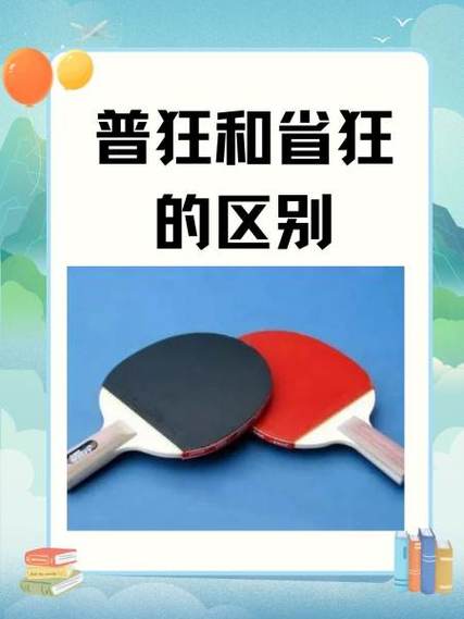 入门和新手有什么区别截图