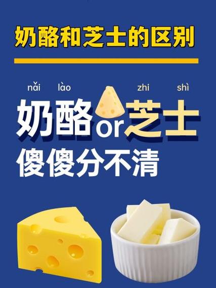芝士和奶酪有啥区别截图
