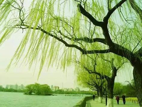 男人在亲吻时呼吸很重图标