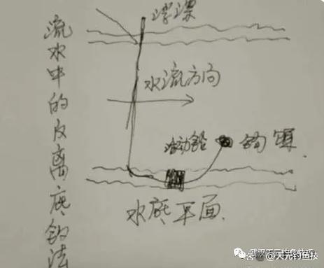 反底钓鲫鱼效果最佳方法图标