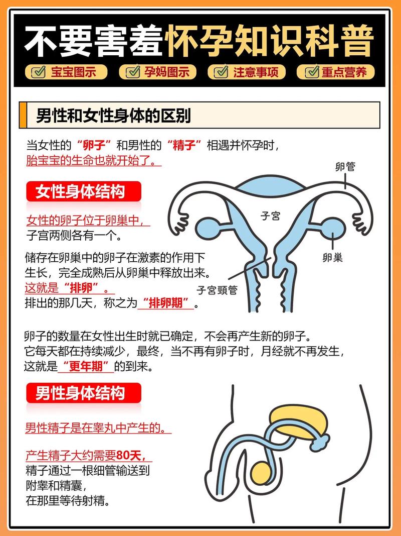 sinister2怀孕怎么解锁图标