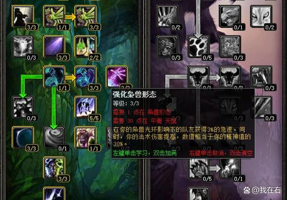 魔兽世界鸟德优先属性截图
