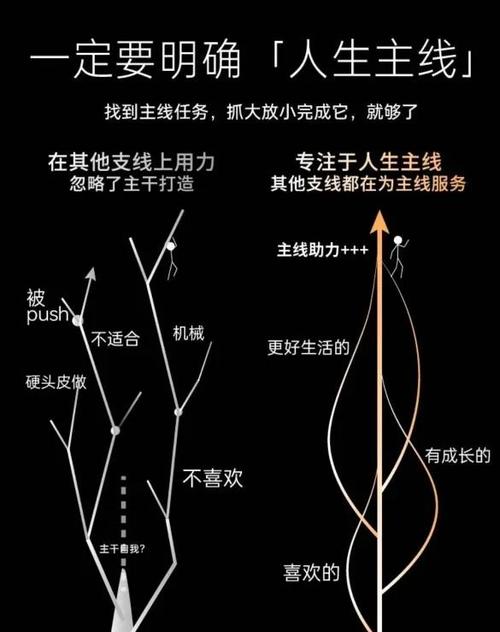 人生的主线任务与支线任务截图