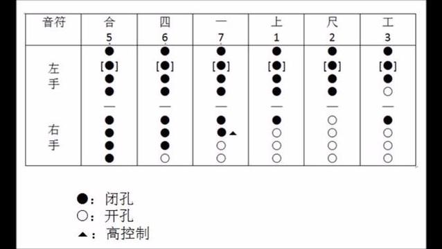 小号教学视频教程截图