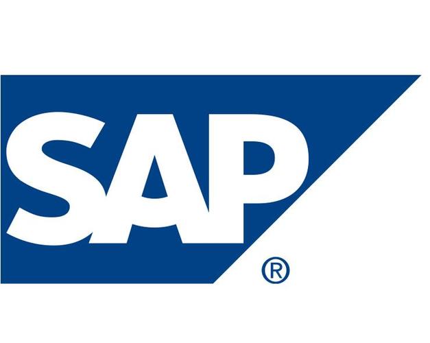 sap84软件图标