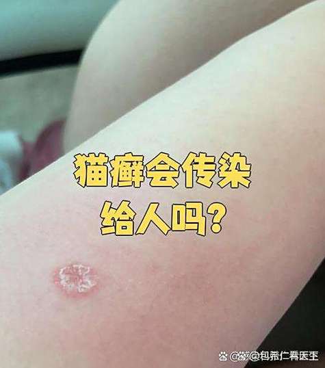 卖猫赚钱吗图标