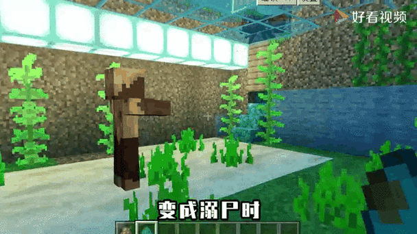 我的世界尸壳的掉落物图标