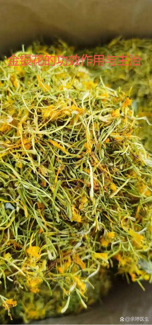 金银花影响性功能吗图标