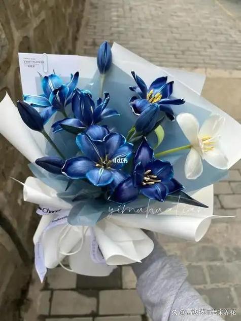 blued官方下载安装图标