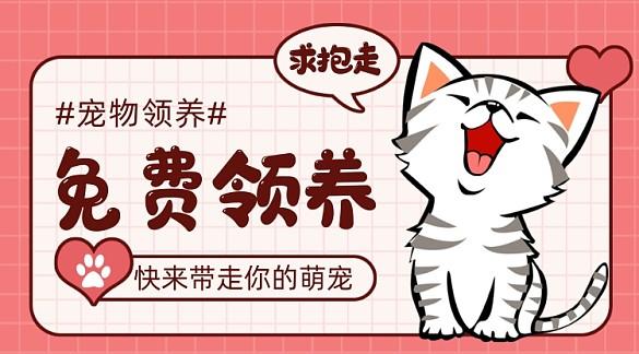 无偿领养猫咪文案图标