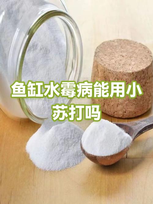鱼缸水霉味对鱼有影响吗图标