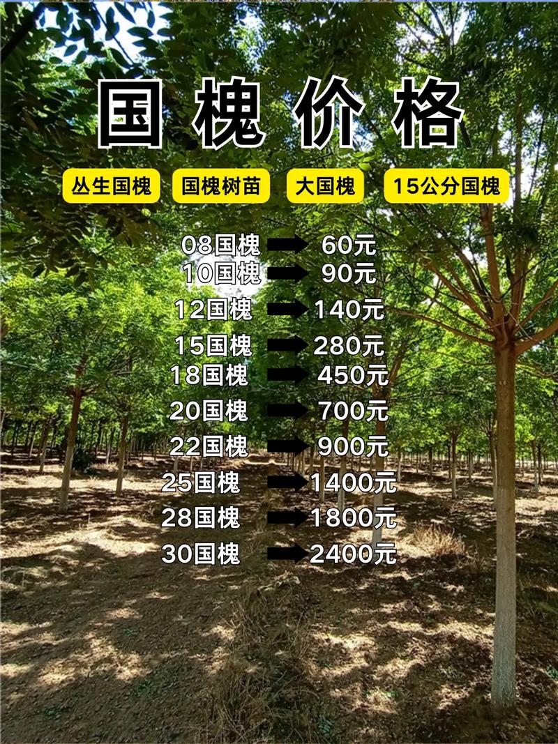 乐高树屋最便宜的时候多少钱
