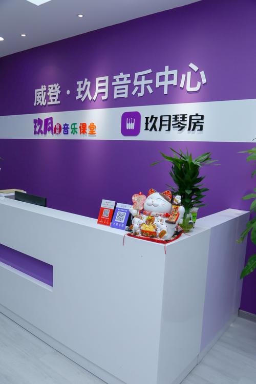 玖月琴房课程价格