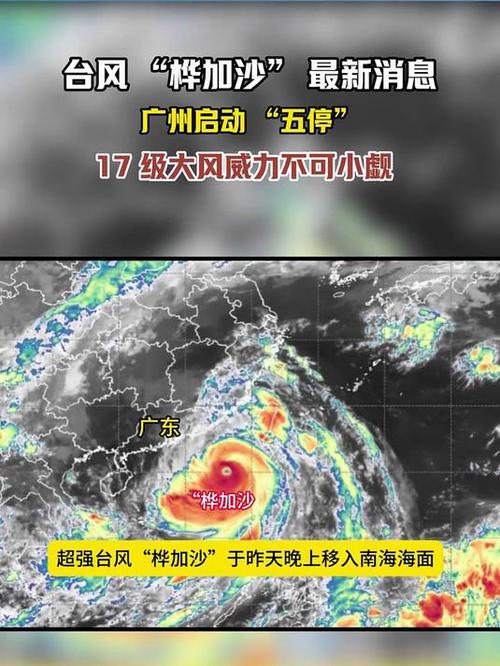 最新下一个台风图标