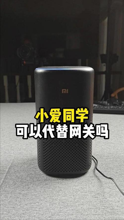 小爱音箱HD可以当网关用吗图标