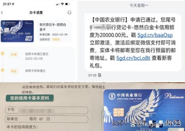 农业银行卡额度限制图标