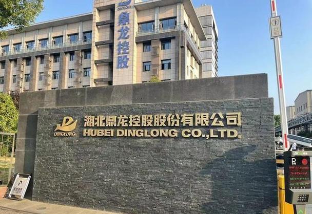鼎龙股份最新消息图标