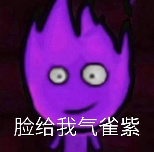 紫色老奶奶表情包图标