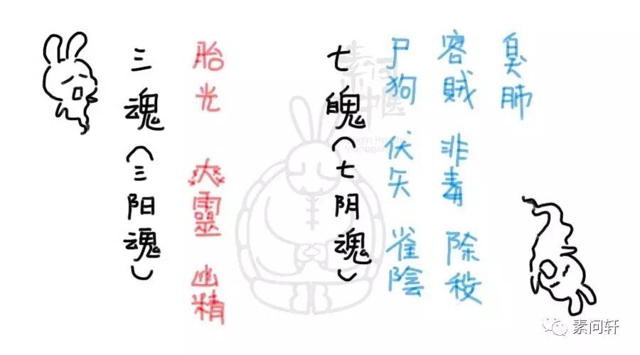 三魂七魄丢了怎么办截图