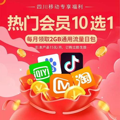 中国移动铂金会员有什么用图标