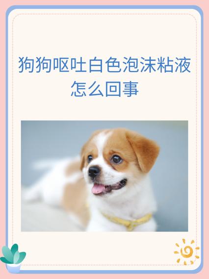 狗狗吐白沫黏液怎么办
