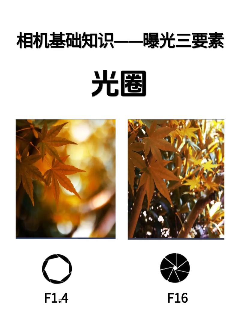 手机拍照有光圈是怎么回事图标