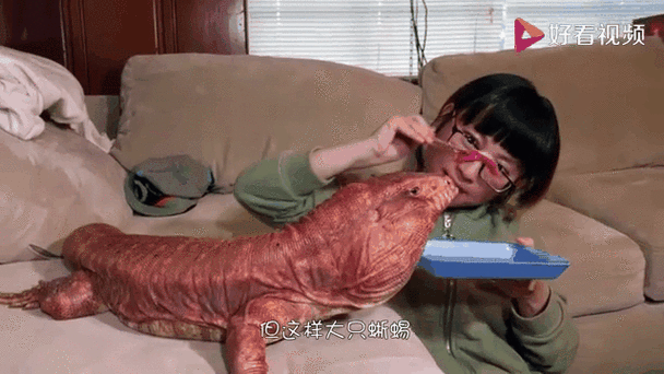 壁虎人视频图标
