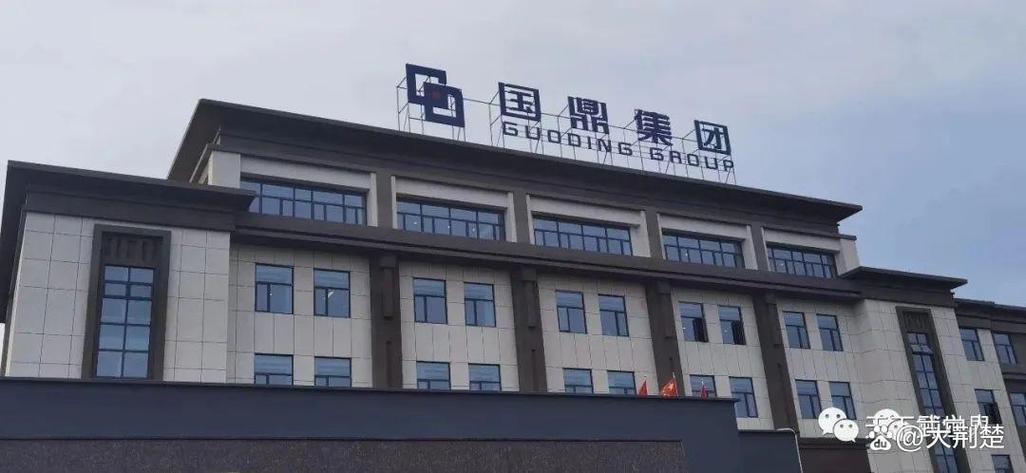 东莞市国鼎控股集团图标