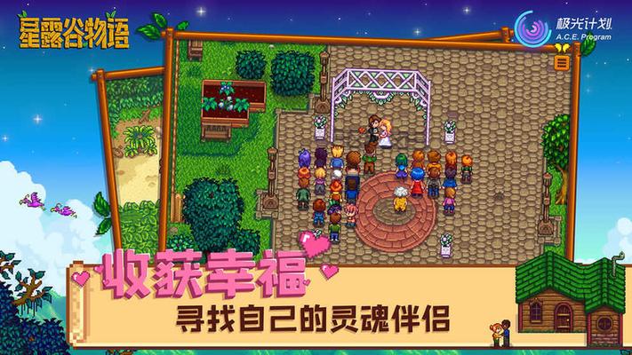 星露谷物语无限金币中文版下载图标