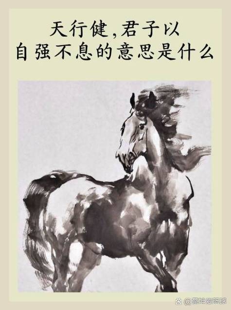 什么叫走天行健图标