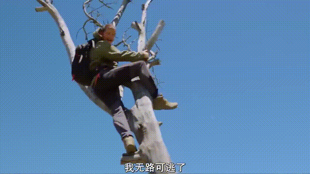 贝爷前置任务截图