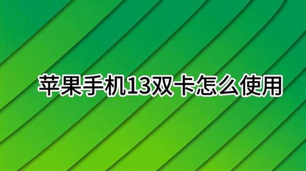 苹果13如何使用双卡双待图标