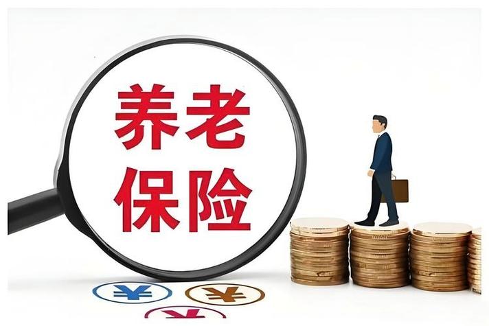 养老保险不小心交了两次截图