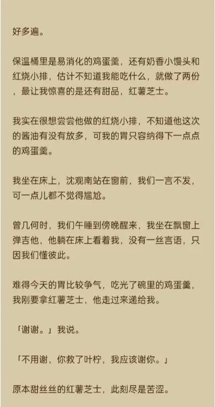 孟念一沈观南小说免费图标